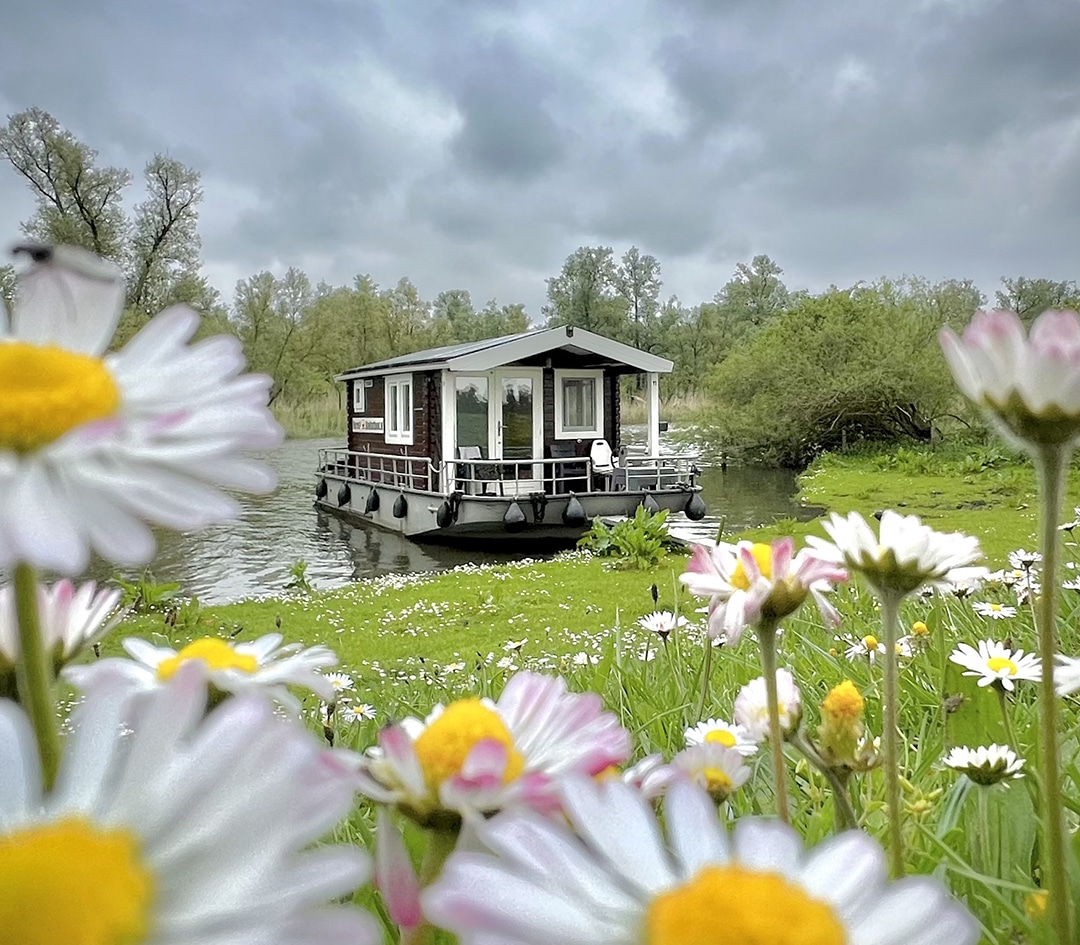 Nature cottage by the water: spend the night in the most beautiful places